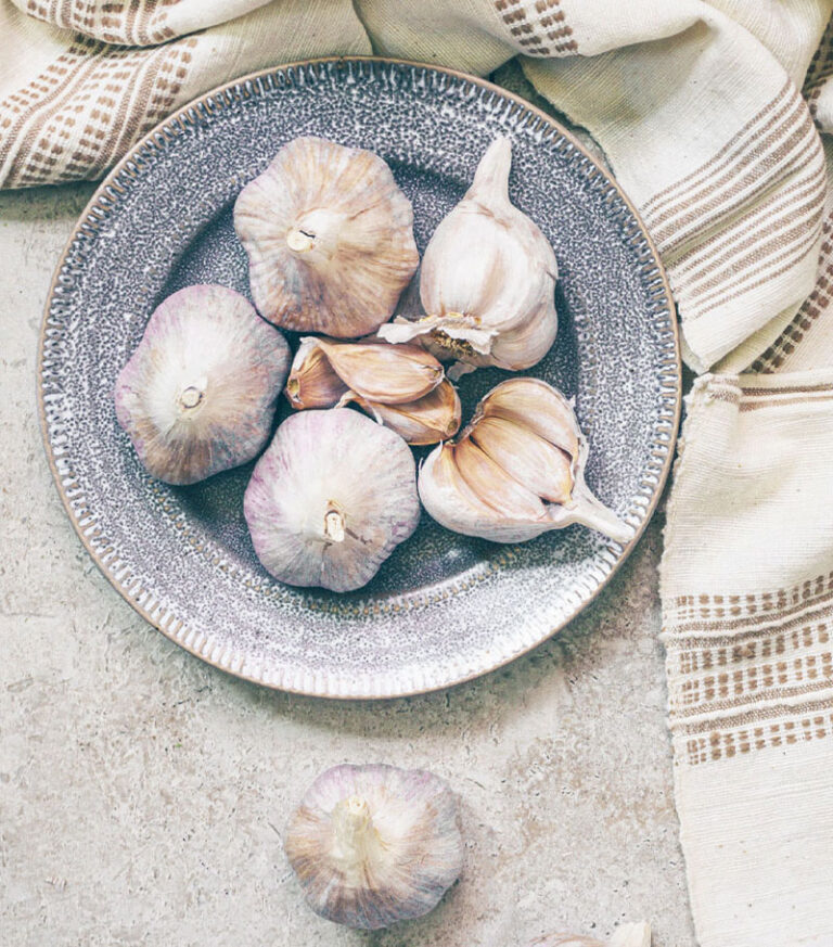 Growing Garlic: An Easy, Fall-Planted Culinary Essential