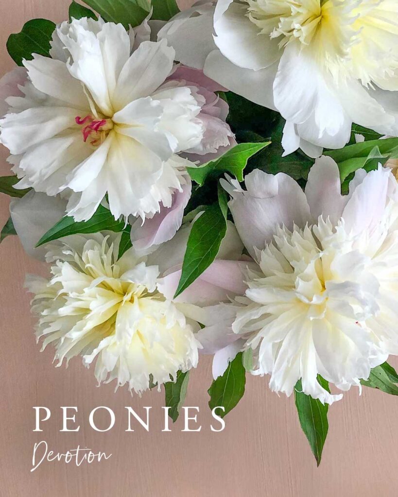 Flowers, Their Meanings & The Hidden Language Of Blooms | A Cultivated ...
