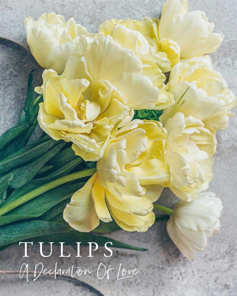 Flowers, Their Meanings & The Hidden Language Of Blooms | A Cultivated ...